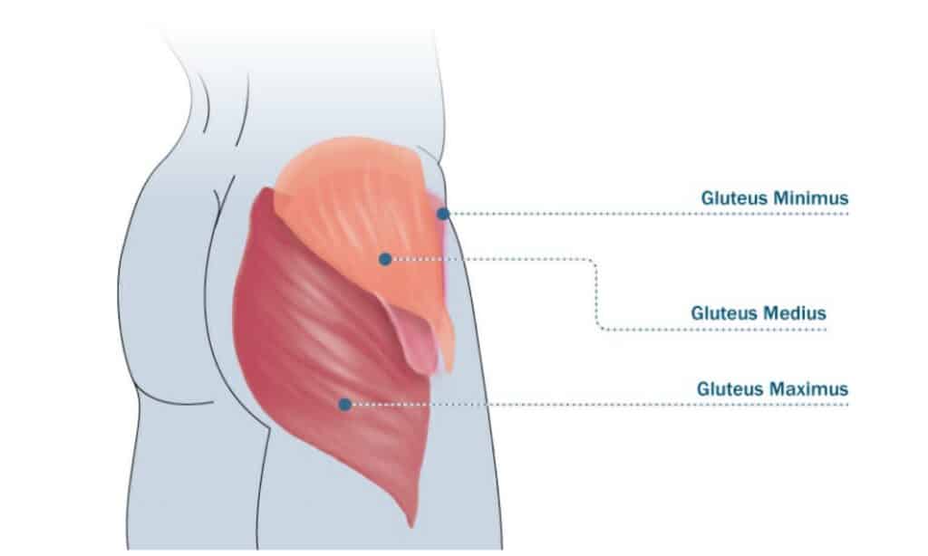 What Muscles Does Treadmill Work On? What Muscles Does Treadmill Work On?