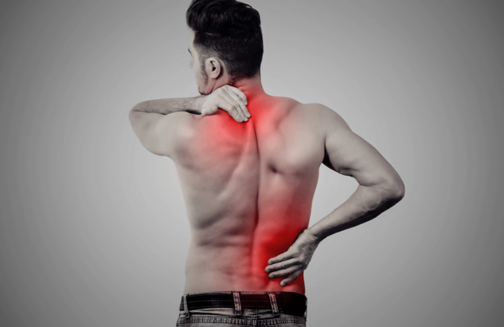 Anatomie des Muscles du Dos : Les Meilleurs Exercices Pour le Dos