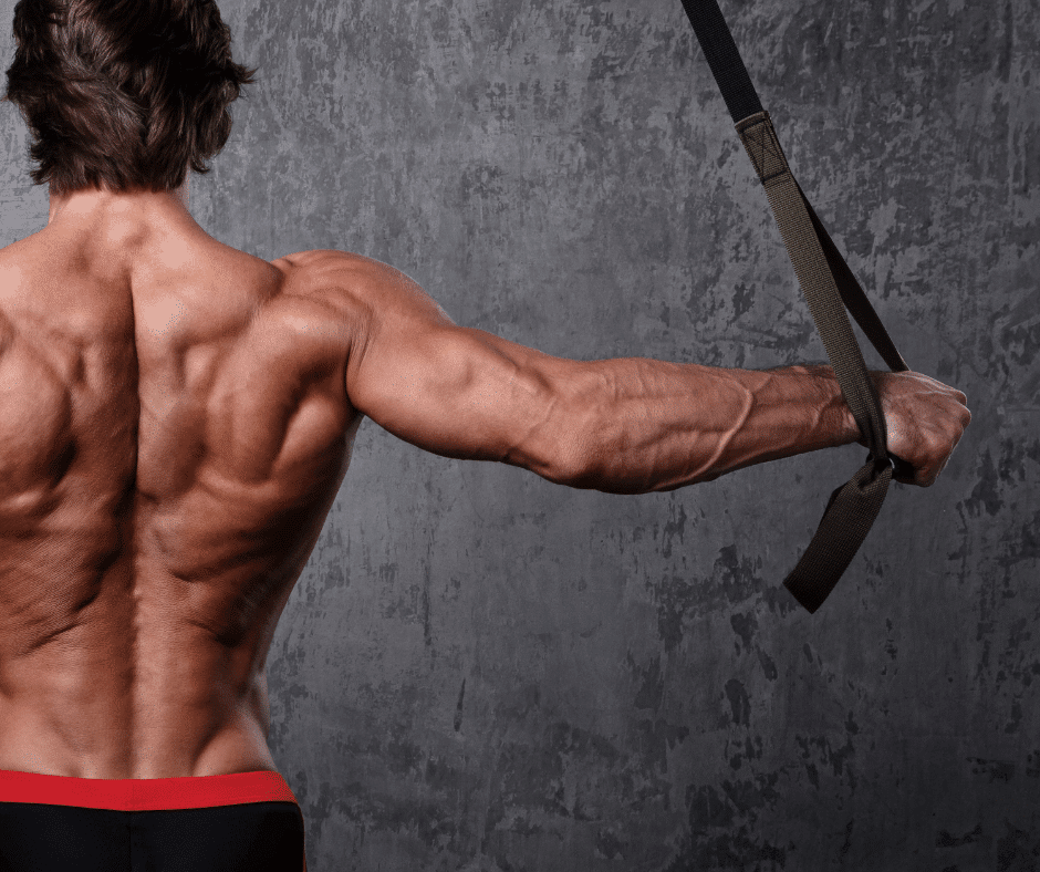 Anatomie des Muscles du Dos : Les Meilleurs Exercices Pour le Dos