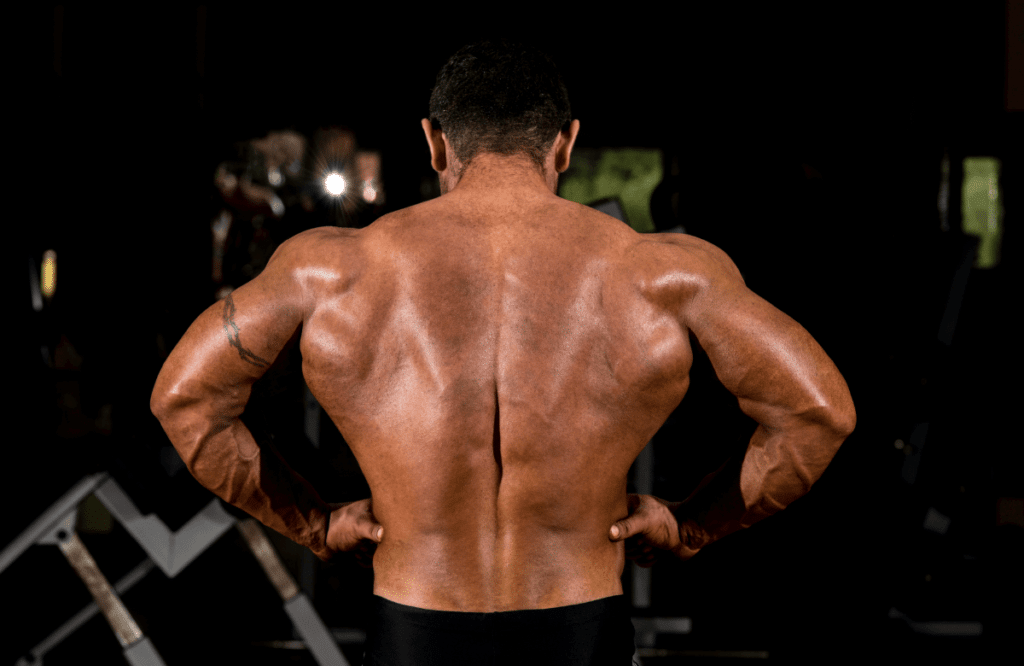 Les 10 Meilleurs Exercices pour Muscler votre Dos - Boxlife