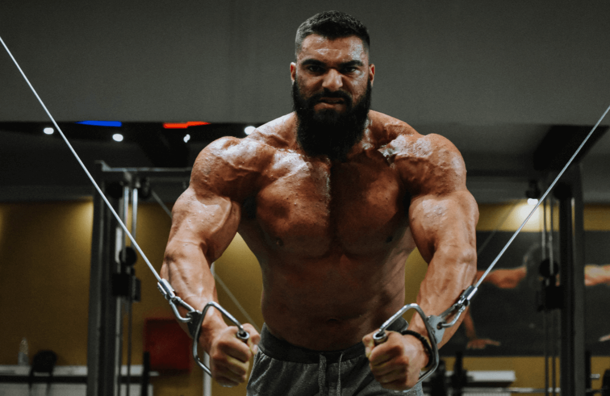 Les 10 Meilleurs Exercices pour les Pectoraux - Boxlife