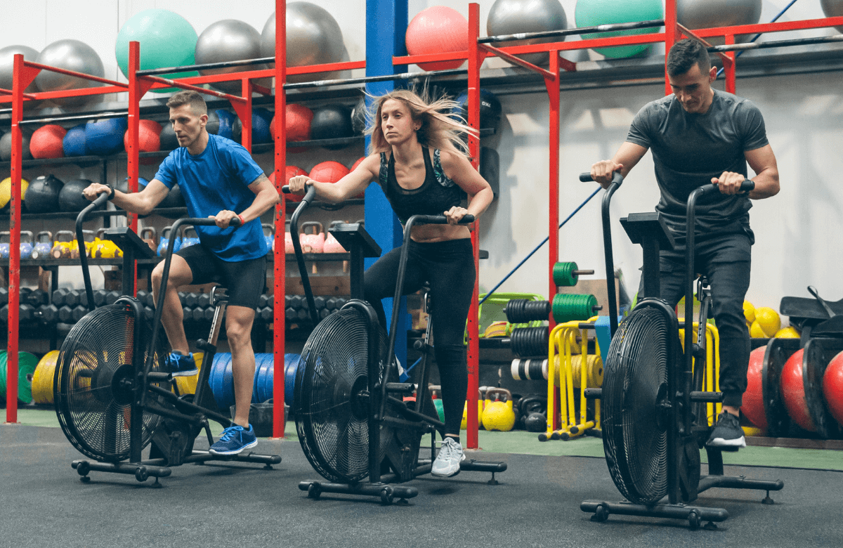 Assault Fitness AirBike Review - Which Model is The Best?