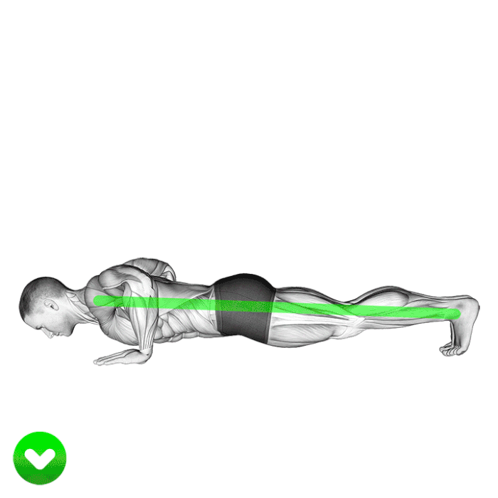 Press-Ups: The Ultimate Guide (Technique, Variations...)