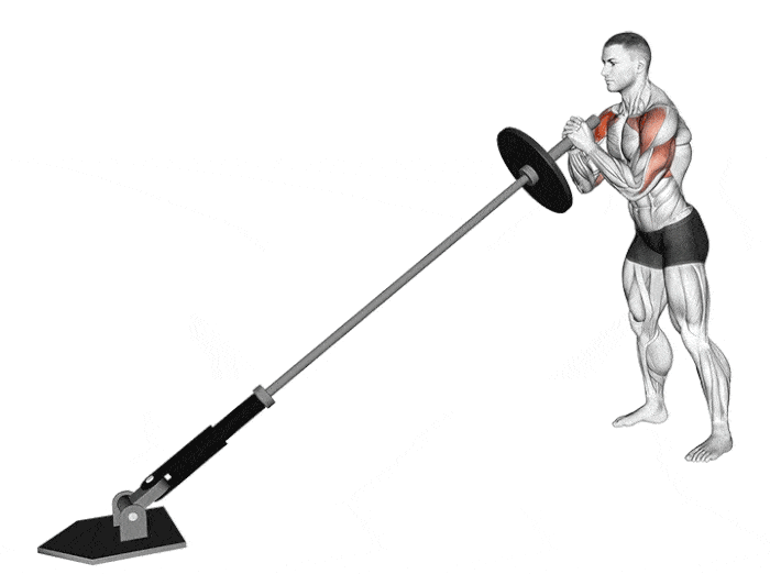 Top 15 Best Compound Shoulder Exercises - BoxLife Magazine