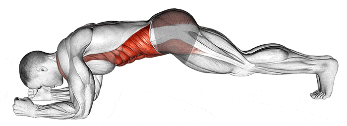 Les 10 Meilleurs Exercices pour les Abdos - Boxlife