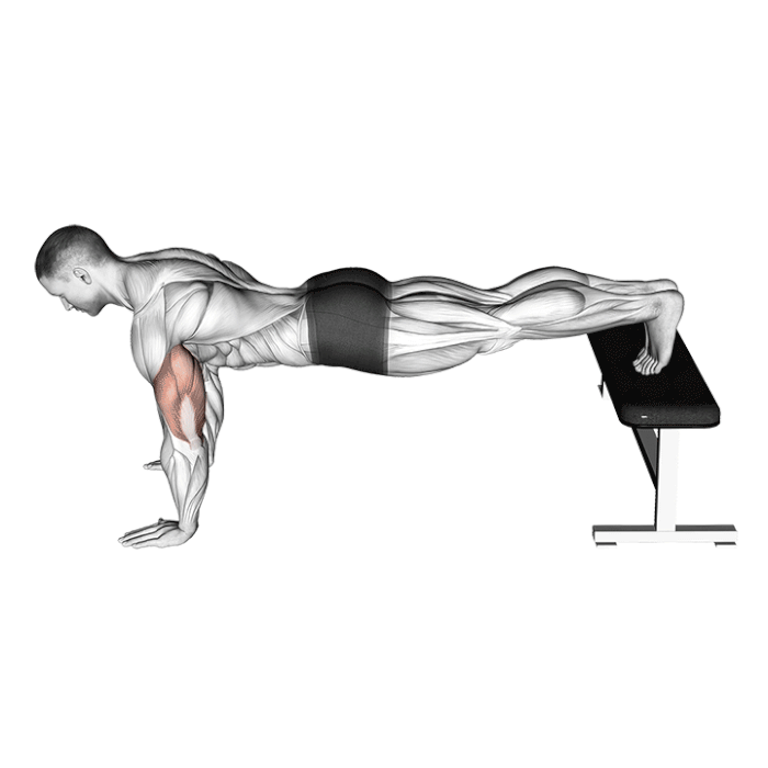 Les 10 Meilleurs Exercices pour les Pectoraux - Boxlife