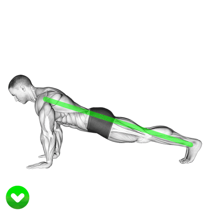 Press-Ups: The Ultimate Guide (Technique, Variations...)