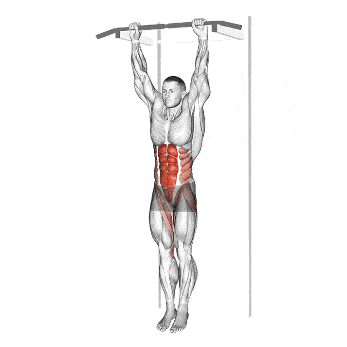 Les 10 Meilleurs Exercices pour les Abdos - Boxlife