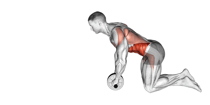 Les 10 Meilleurs Exercices pour les Abdos - Boxlife