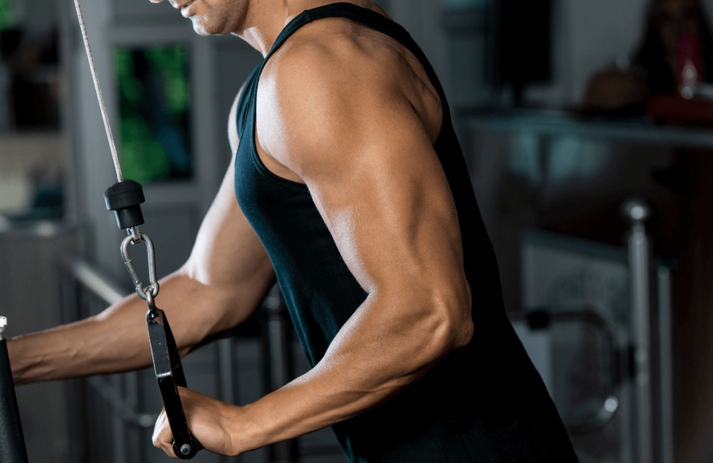 How To Do And Master Tricep Pushdowns - BoxLife Magazine
