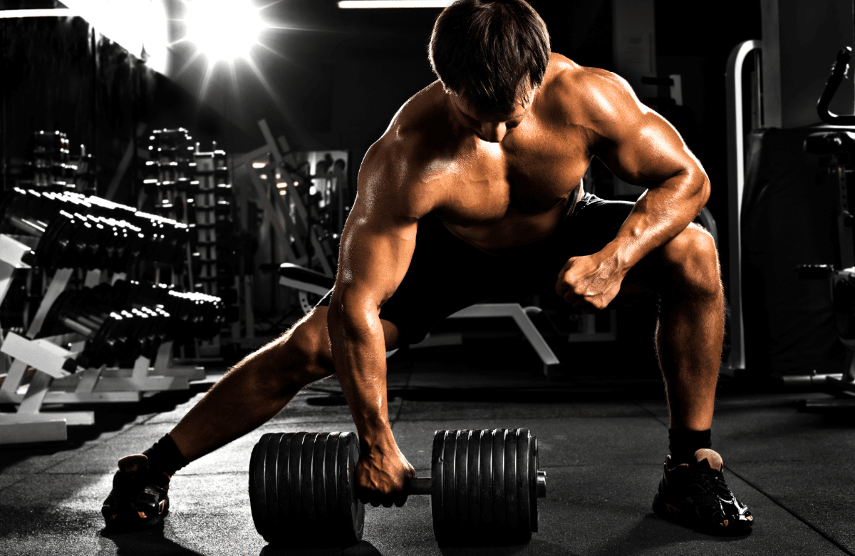 Programme Prise de Masse Pour Débutant : Le Guide Ultime