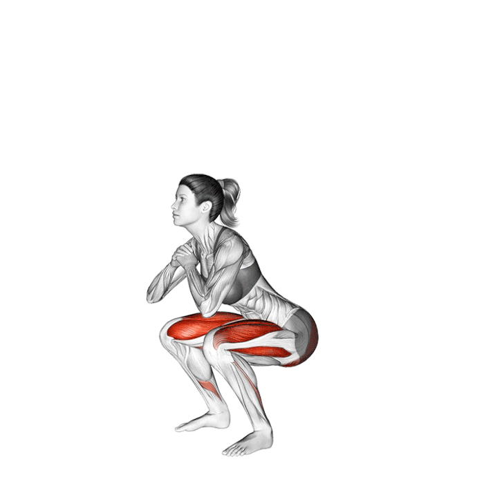 Les 10 Meilleurs Exercices de Musculation Sans Matériel