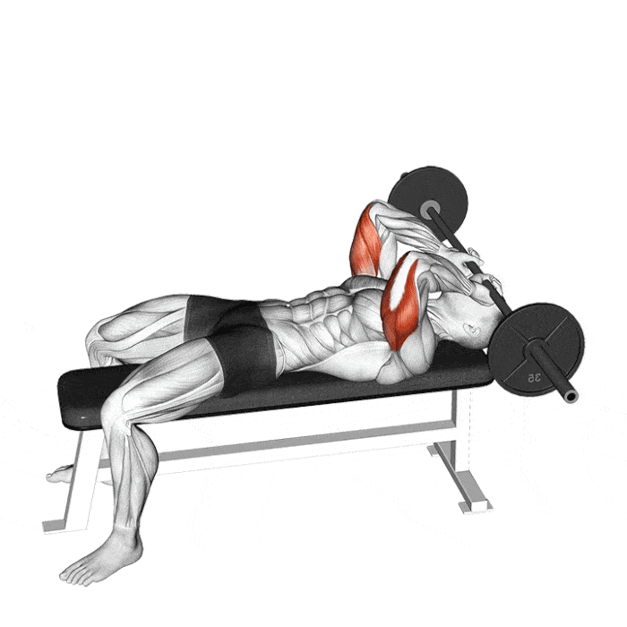 Rutinow-Encontrá y aprende cualquier ejercicio