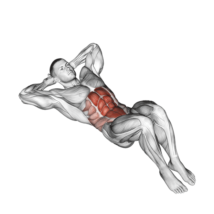 Les 10 Meilleurs Exercices de Musculation Sans Matériel