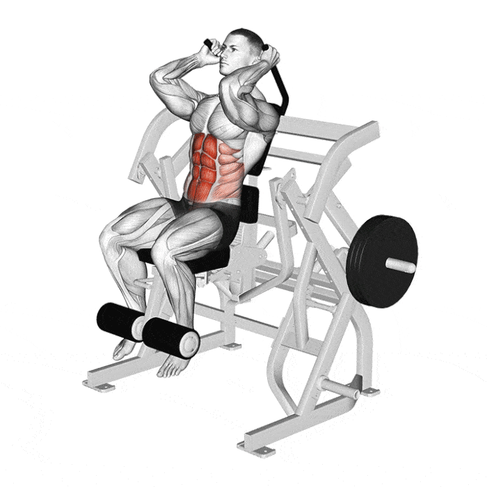 Crunch Poulie : L'Exercice Parfait pour l'Hypertrophie des Abdos