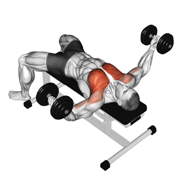 Butterfly en Musculation (Pec Deck) : Comment le Réaliser