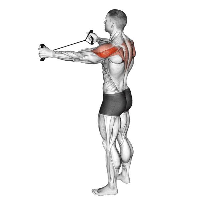 Les 5 Meilleurs Exercices pour les Epaules avec Elastiques