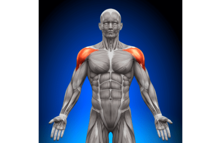 Top 14 Best Shoulder Stretches You Must Try - BoxLife