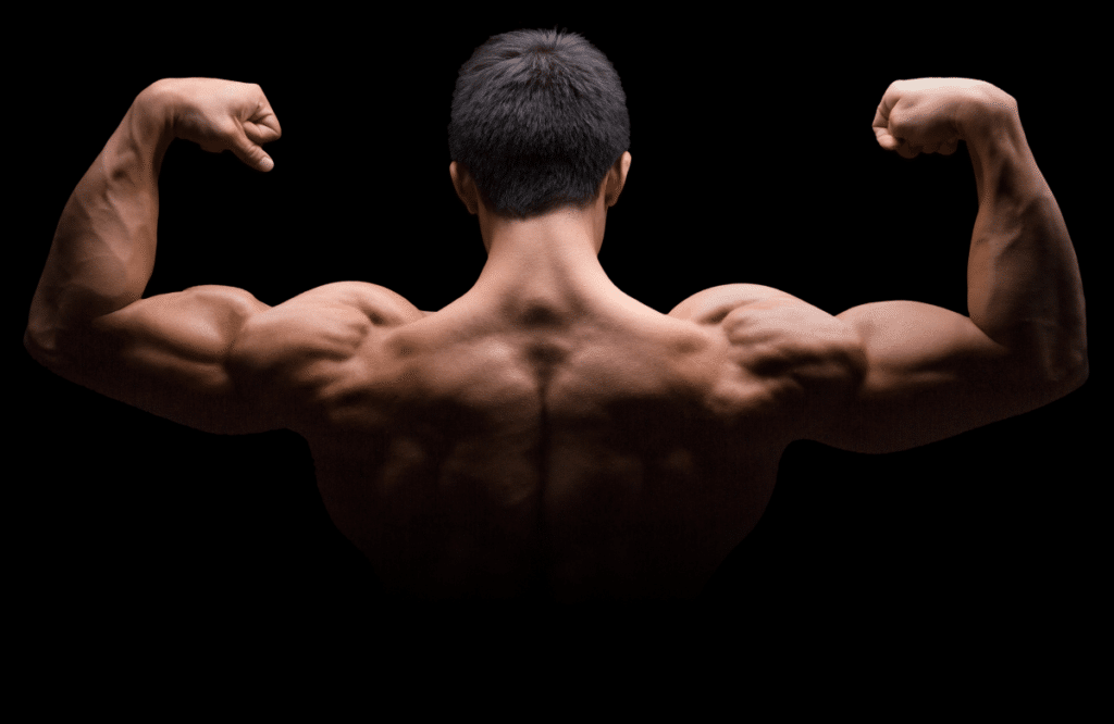 Hypertrophy Vs. Hyperplasia: What Are The Key Differences?