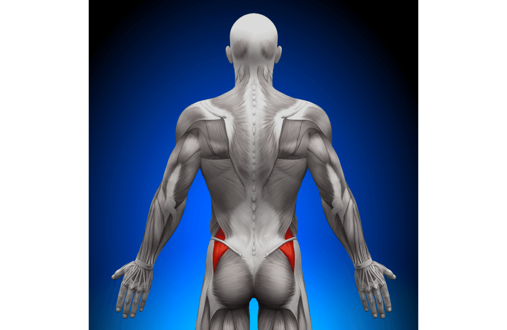 The 12 Best Glute Stretches To Ease Tightness Boxlife