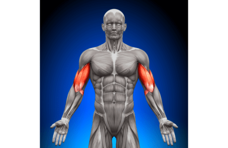 The 13 Most Effective Bicep Stretches - BoxLife Magazine