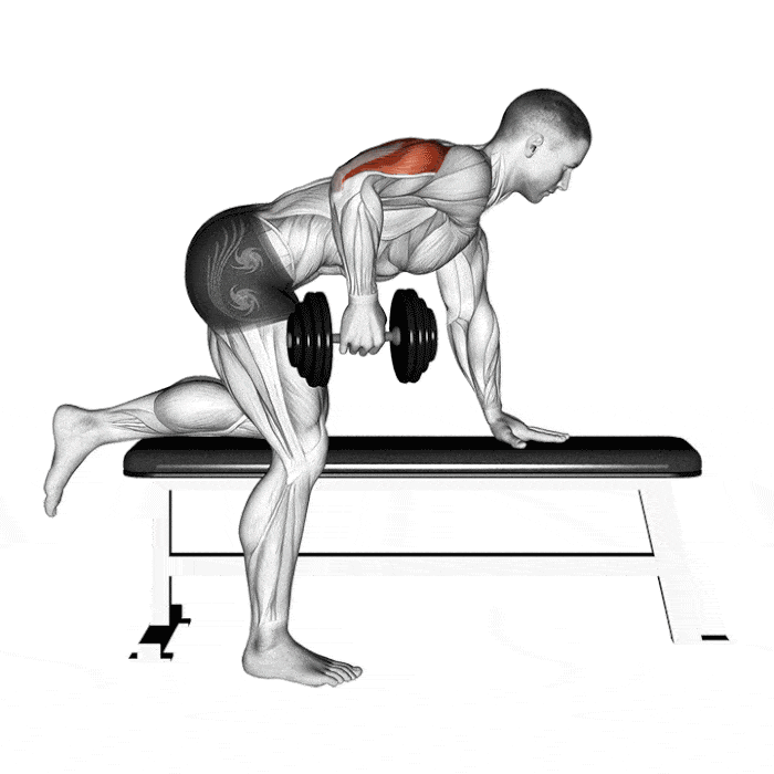 7 Ejercicios para Desarrollar Tríceps de Acero - Boxlife