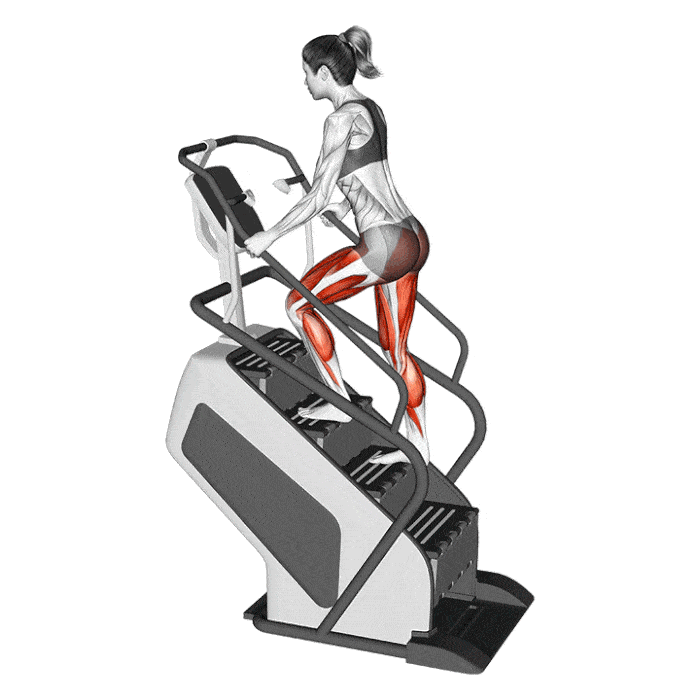 Les 6 Meilleurs Exercices pour Blinder vos Mollets