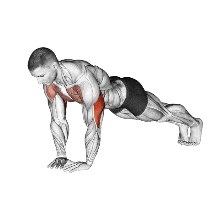 Pompes en Musculation : Comment Développer des Pectoraux en Fer