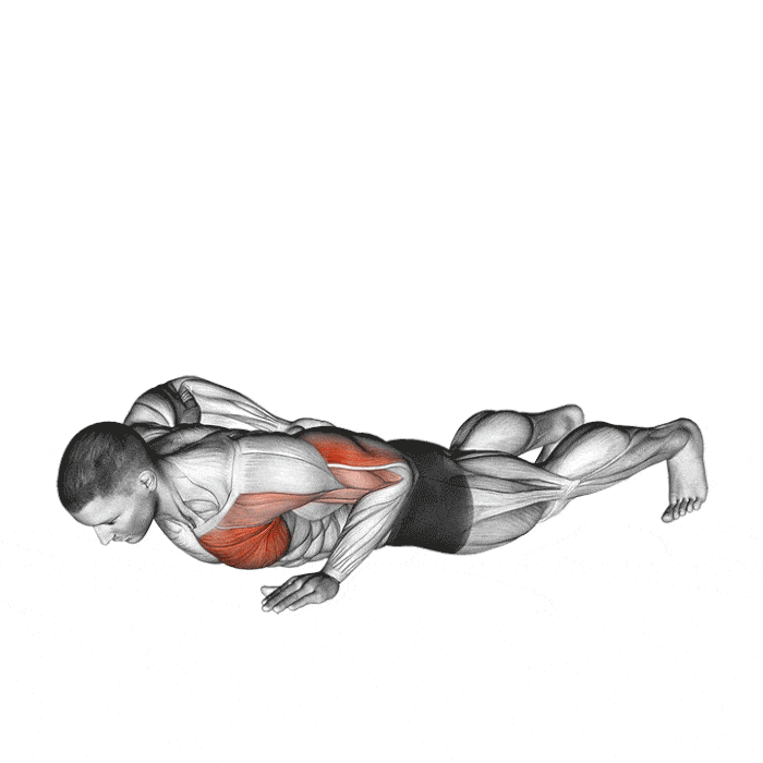 Pompes en Musculation : Comment Développer des Pectoraux en Fer