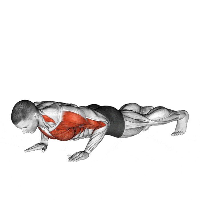 Pompes en Musculation : Comment Développer des Pectoraux en Fer