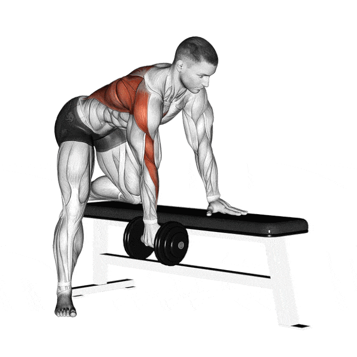 Le Tirage Bûcheron (Rowing Bûcheron) Pour un Dos plus Epais