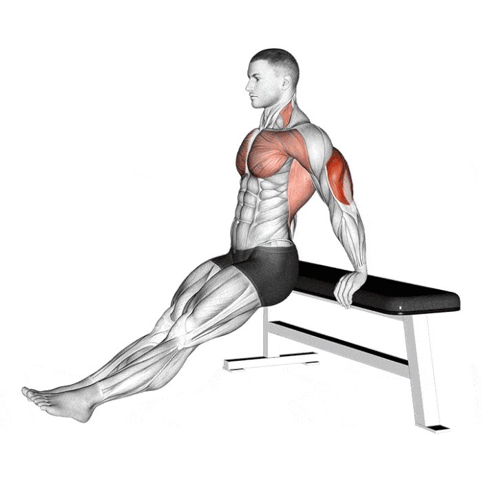 Dips Chaise au Sol : Un Exercice Simple pour Muscler ses Triceps