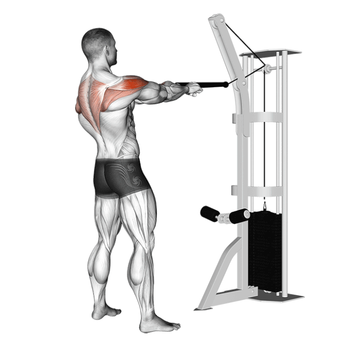 Les 6 Meilleurs Exercices pour Muscler l'Arrière des Épaules