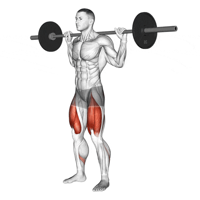 Les 5 Meilleurs Exercices pour des Quadriceps Forts et Toniques