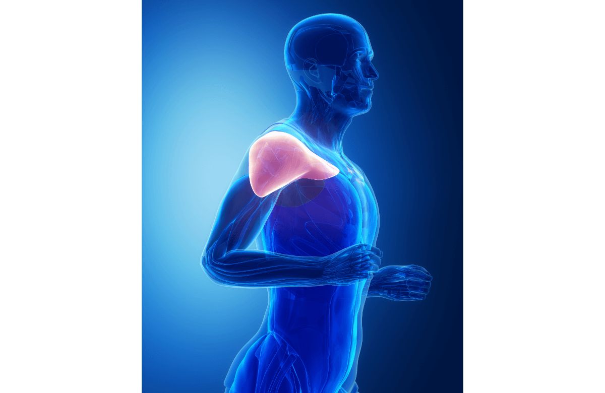 The Best Front Delt Exercises For Beginners & Advanced