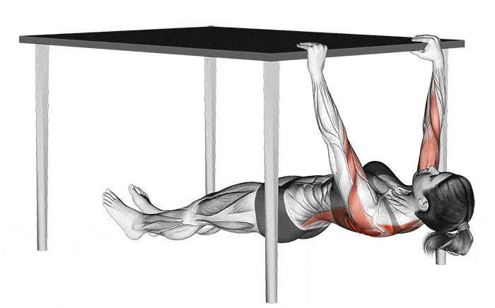 Les 5 Meilleurs Exercices pour les Biceps sans Matériel