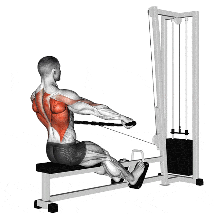 Tirage buste penché (Row bent-over) - 1 des meilleurs exercice pour un ... Tirage buste penché (Row bent-over) - 1 des meilleurs exercice pour un ...