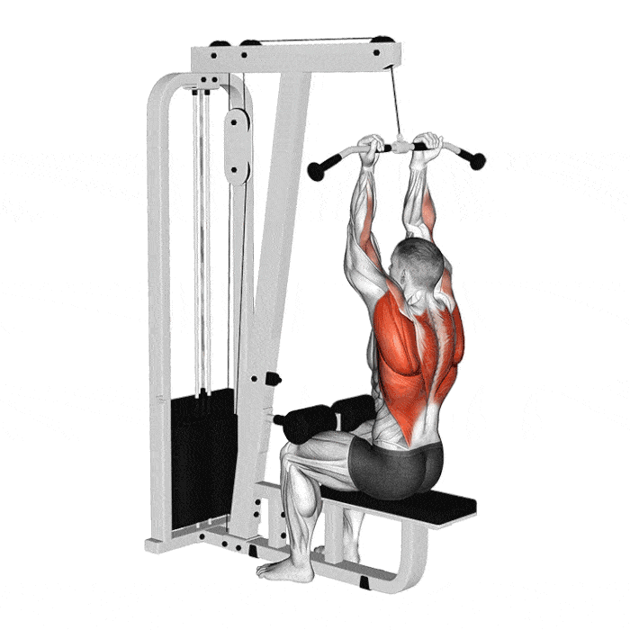 Tout Savoir sur le Tirage Dos Vertical (Tirage Poitrine)