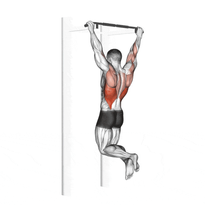 Los 10 Mejores Ejercicos de Espalda para el Gimnasio