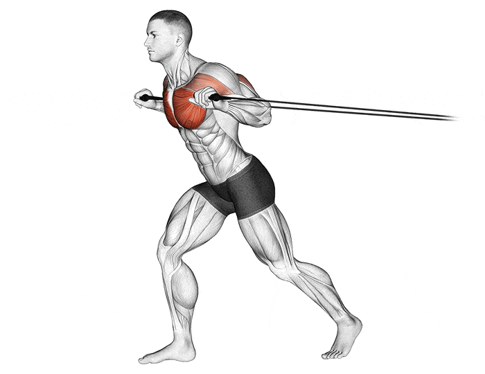 Les 10 Meilleurs Exercices pour Pectoraux à la Maison