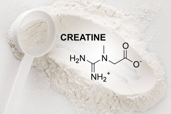 Creatine Loading Phase : Everything You Need To Know