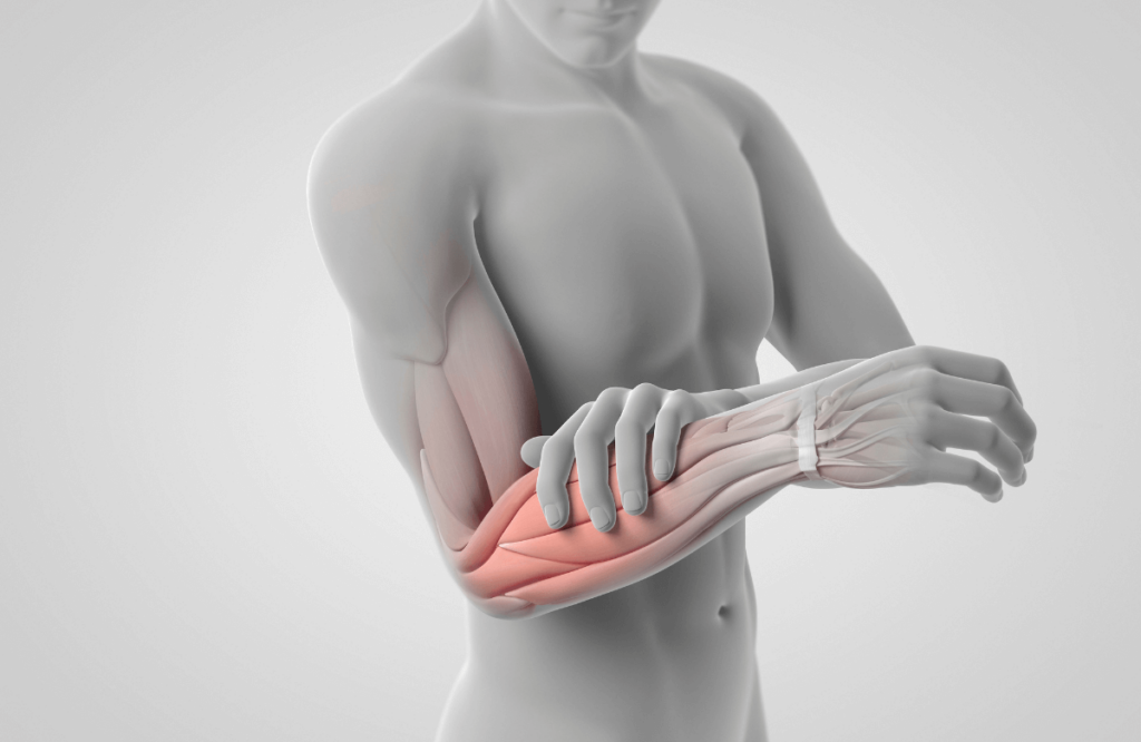 The Power of Reverse Biceps Curl for Arm Strength