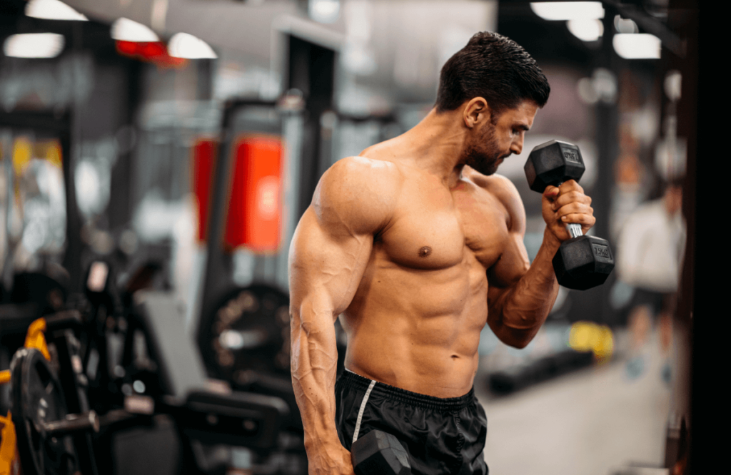 Push/Pull/Legs (PPL): La Méthode de Musculation Ultime