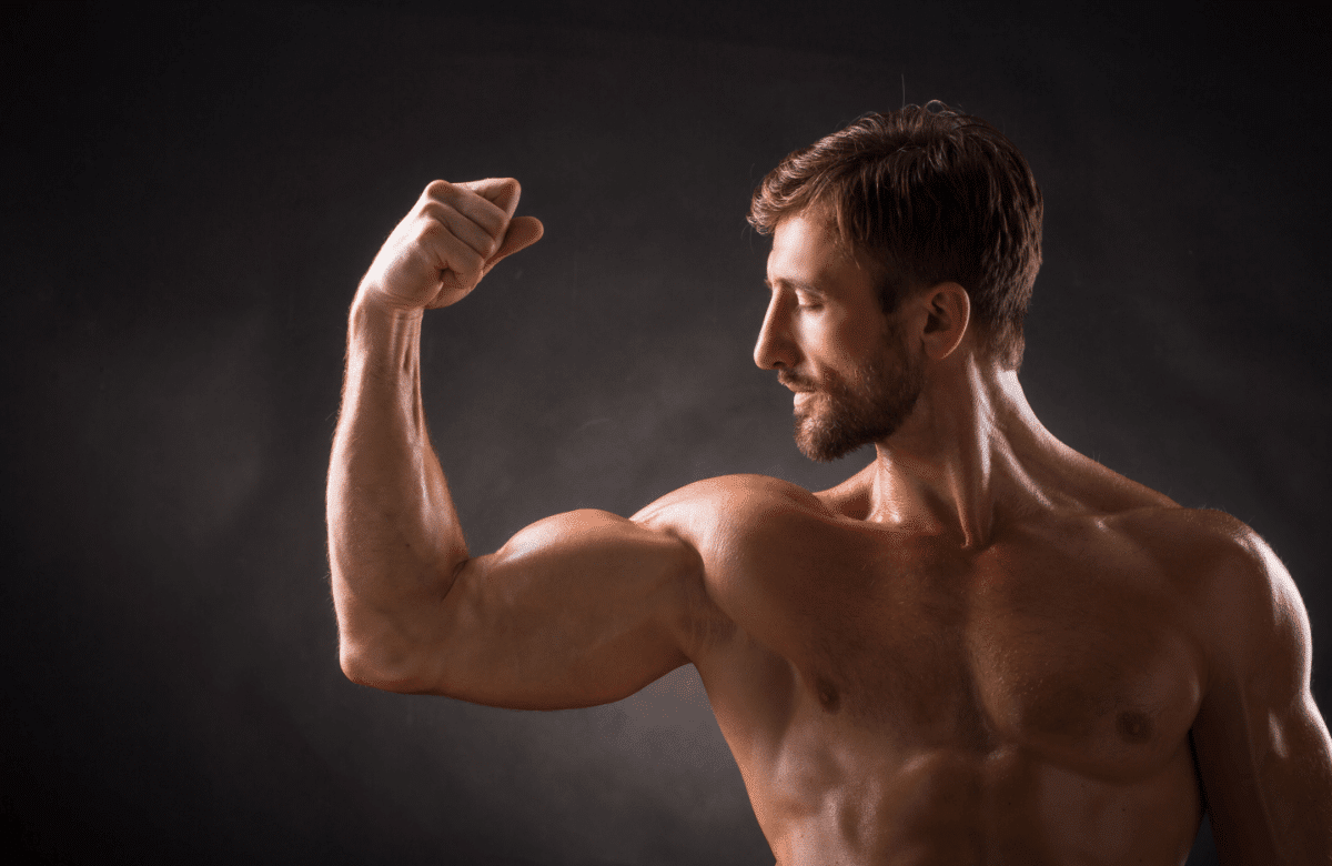 Muscles des Bras : Tout Savoir sur leur Anatomie et Développement