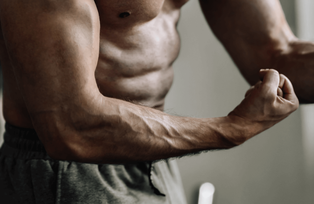 Muscles des Bras : Tout Savoir sur leur Anatomie et Développement