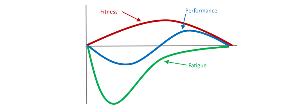 Why the Best Athletes Never Skip Deload Weeks: The Science Behind It ...