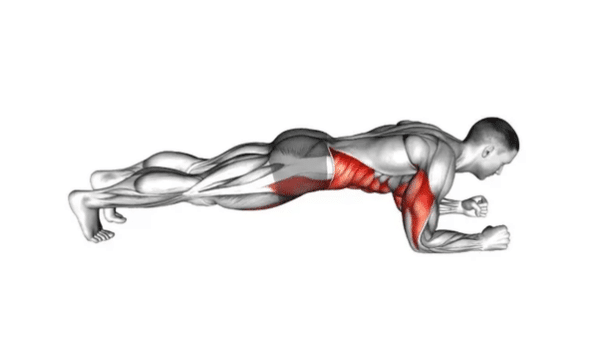 [Study] The 8 Best Abs Exercises of All Time, According to Science and ...