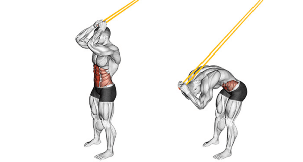 [Study] The 8 Best Abs Exercises of All Time, According to Science and ...