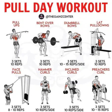 Epic Pull Day Workouts: The Ultimate Guide to Transforming Your Upper ...