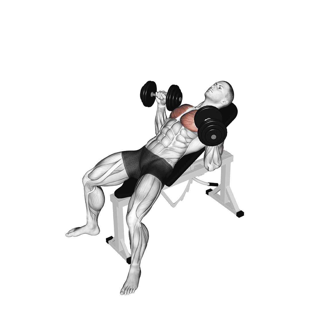 Supera tus límites: Las mejores rutina empuje para ganar en serio (y ...